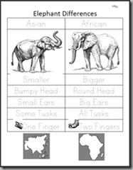 Hebrew/ עברית & English General Studies Printables